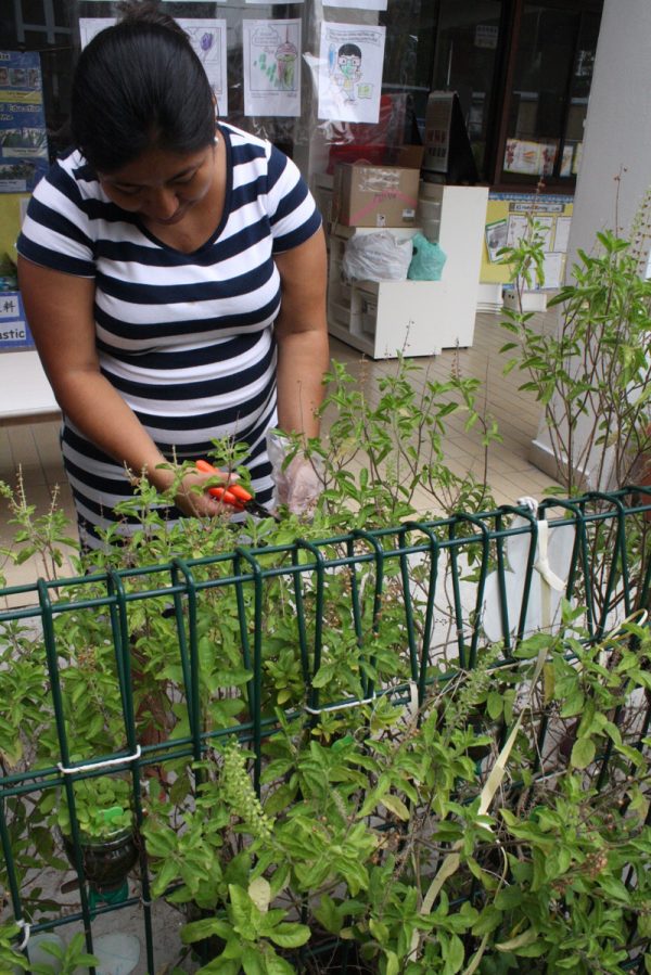 Gardening with NPARKS through Community in Bloom (CIB)! - ELFA ...