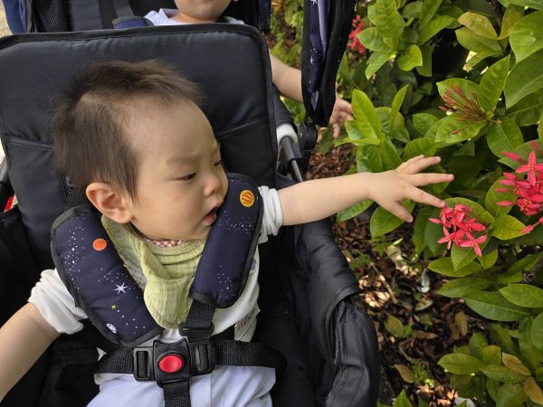 Understanding and Strengthening Your Child’s Immunity: Protecting ...